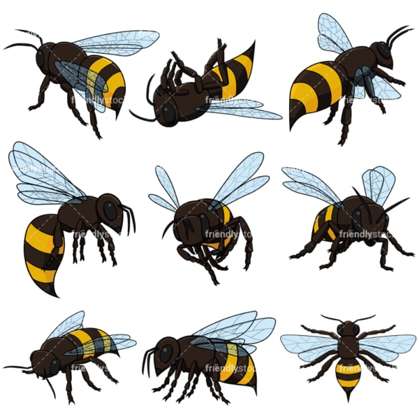 Realistic Bee Back View Vector Cartoon Clipart - FriendlyStock