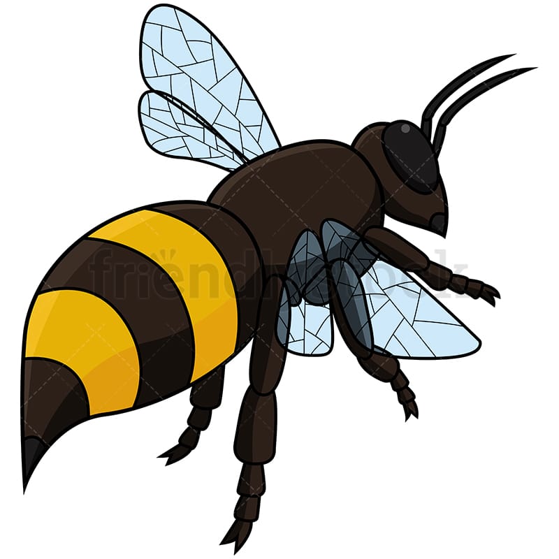 Realistic Bee Back View Vector Cartoon Clipart - FriendlyStock
