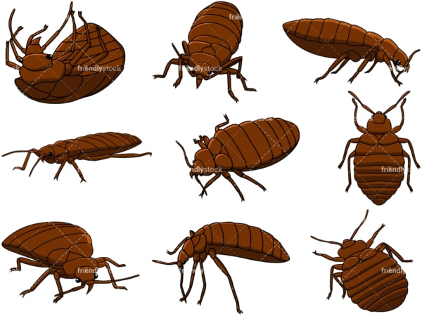 Bed Bug Top View Cartoon Vector Clipart - FriendlyStock