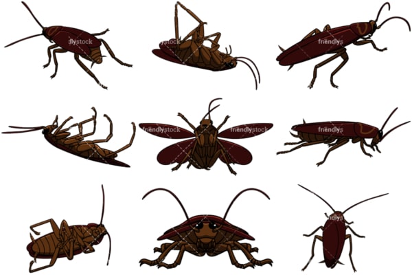 Dead Cockroach Cartoon Vector Clipart - FriendlyStock