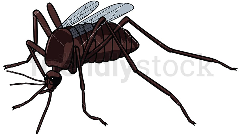 Dead Mosquito Cartoon Vector Clipart - FriendlyStock