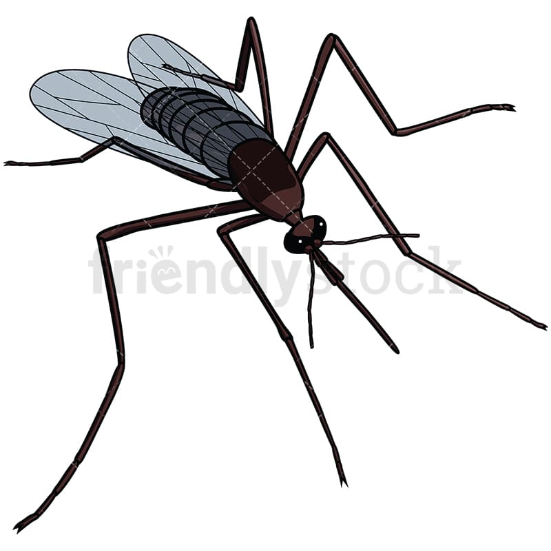 Dead Mosquito Cartoon Vector Clipart - FriendlyStock