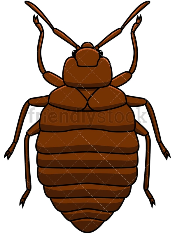 Bed Bug Isometric View Cartoon Vector Clipart - FriendlyStock