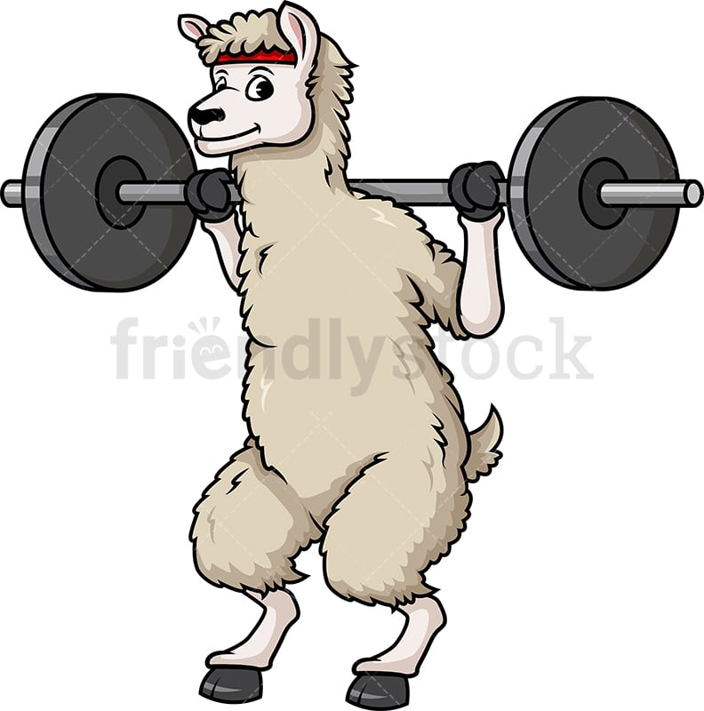 Llama Doing Squats With Barbell Cartoon Clipart Vector - FriendlyStock