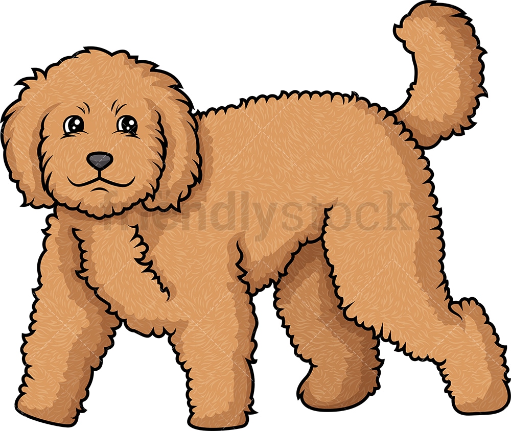 Cheerful Labradoodle Cartoon Clipart Vector - FriendlyStock