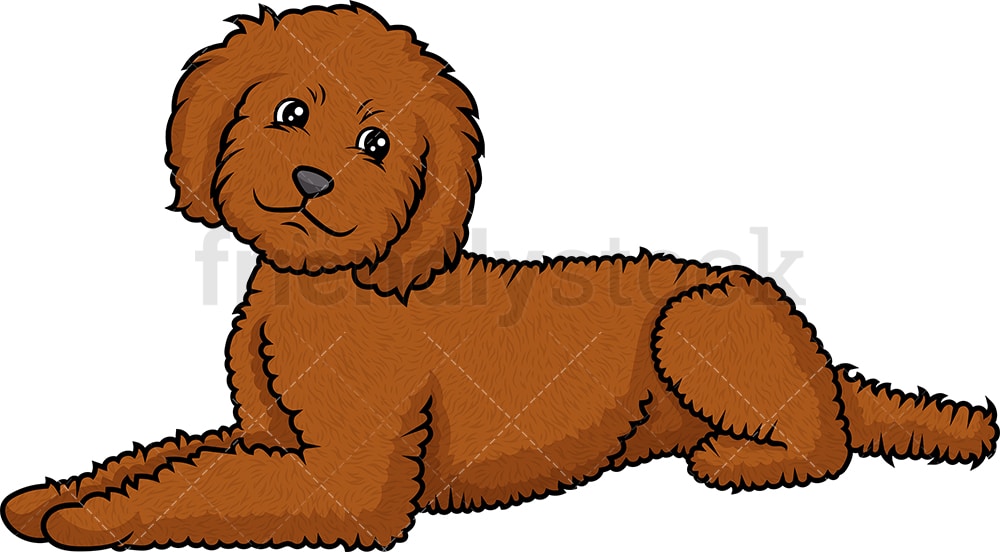 Cheerful Labradoodle Cartoon Clipart Vector - FriendlyStock