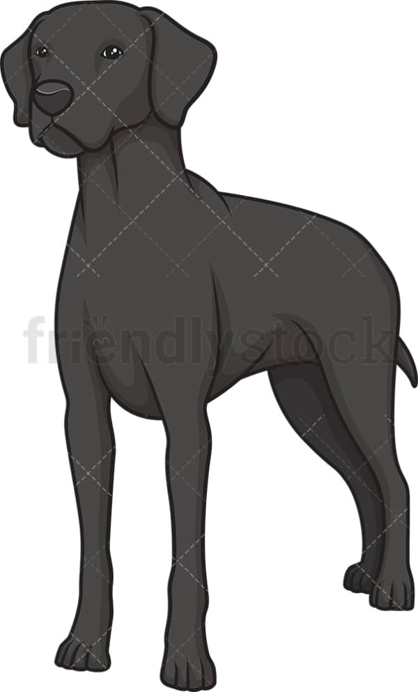 Pointer Sleeping Cartoon Clipart Vector - FriendlyStock