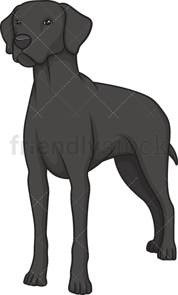 Pointer Sleeping Cartoon Clipart Vector - FriendlyStock