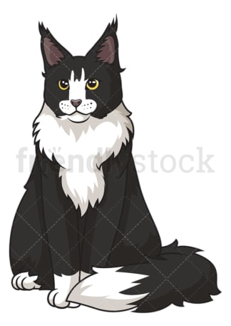 Maine Coon Cats Clipart Vector Collection - FriendlyStock