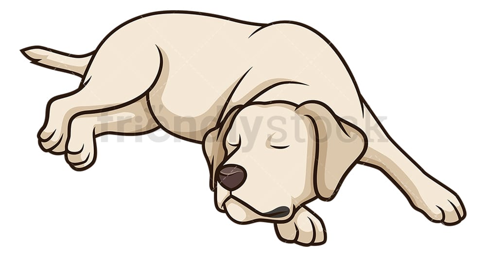 Labrador Retriever Walking Cartoon Clipart Vector - FriendlyStock