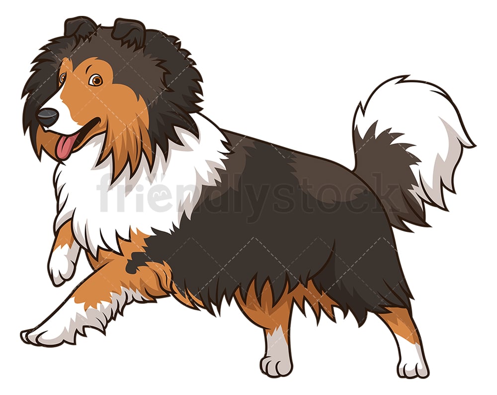 Sleeping Shetland Sheepdog Dog Cartoon Clipart Vector - FriendlyStock