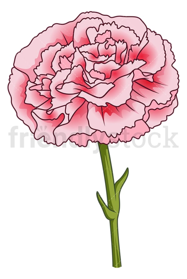 Common Daisy Flower Cartoon Clipart Vector - FriendlyStock
