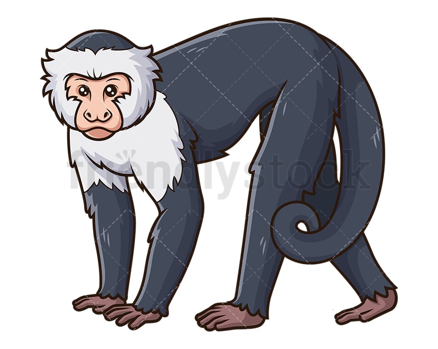 Capuchin Monkey Walking Cartoon Clipart Vector - FriendlyStock