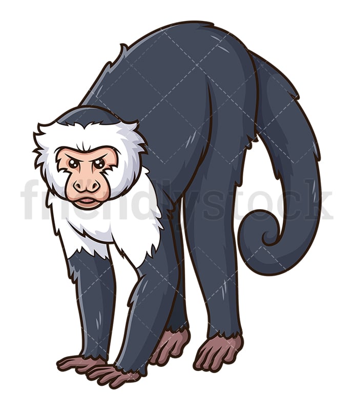 Capuchin Monkey Walking Cartoon Clipart Vector - FriendlyStock