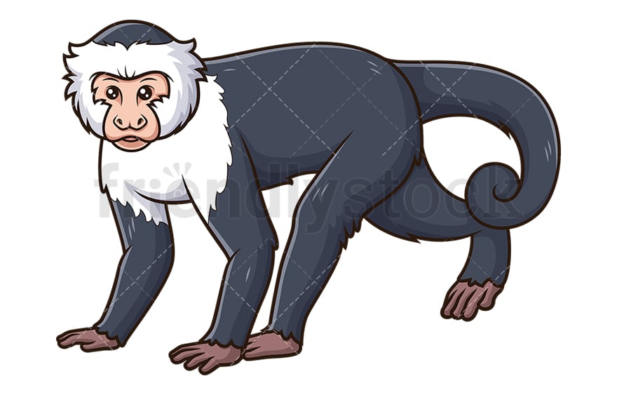 Capuchin Monkey Walking Cartoon Clipart Vector - FriendlyStock